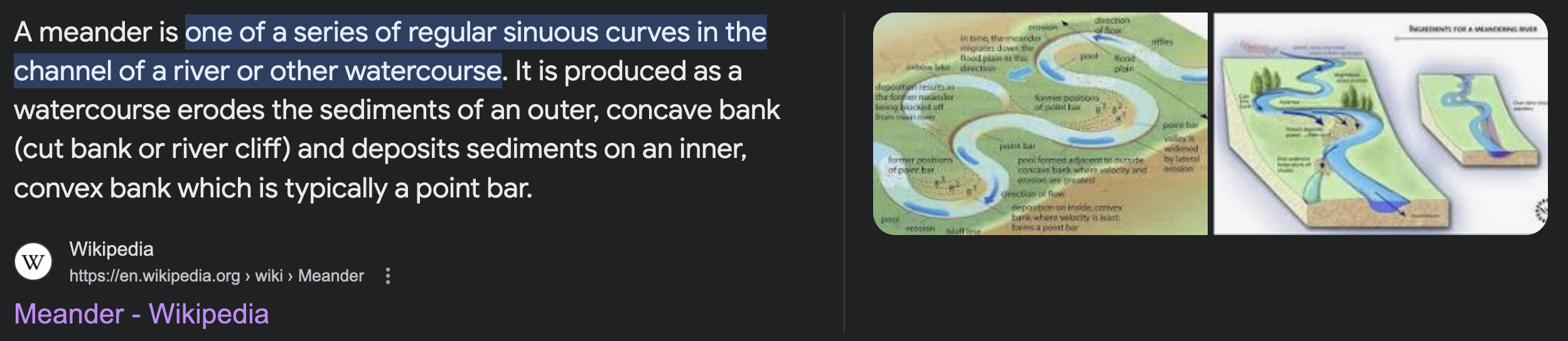 Gorilla Newsletter 37